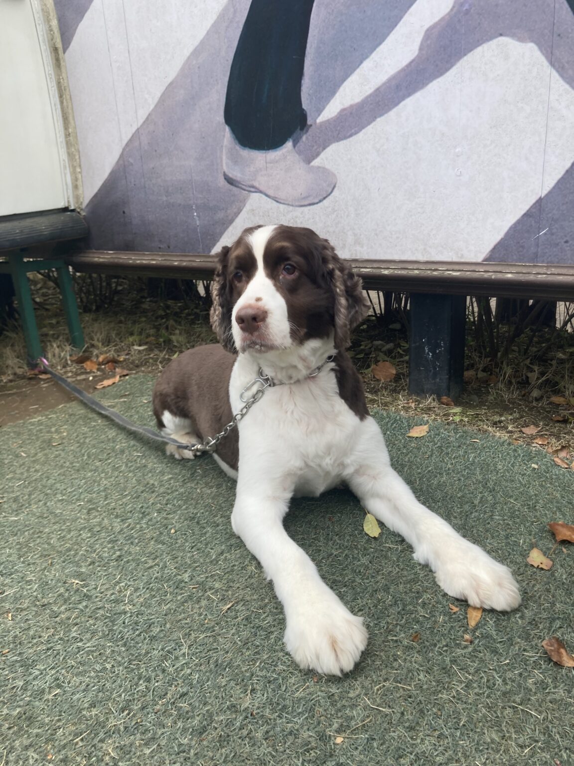 子育ても仕事も、動きやすい未来は自分でつくっていく | KENNEL SCHOOL