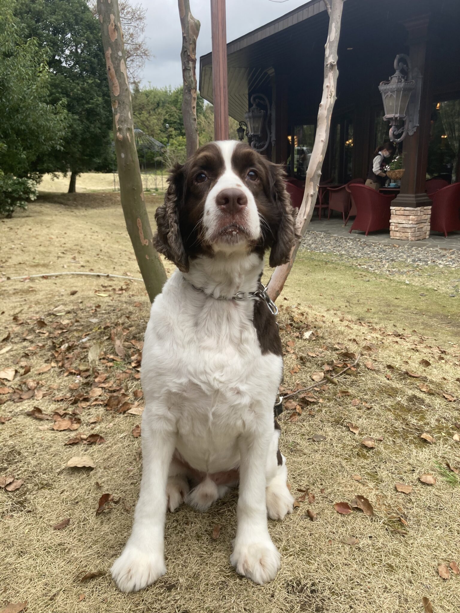 子育ても仕事も、動きやすい未来は自分でつくっていく | KENNEL SCHOOL