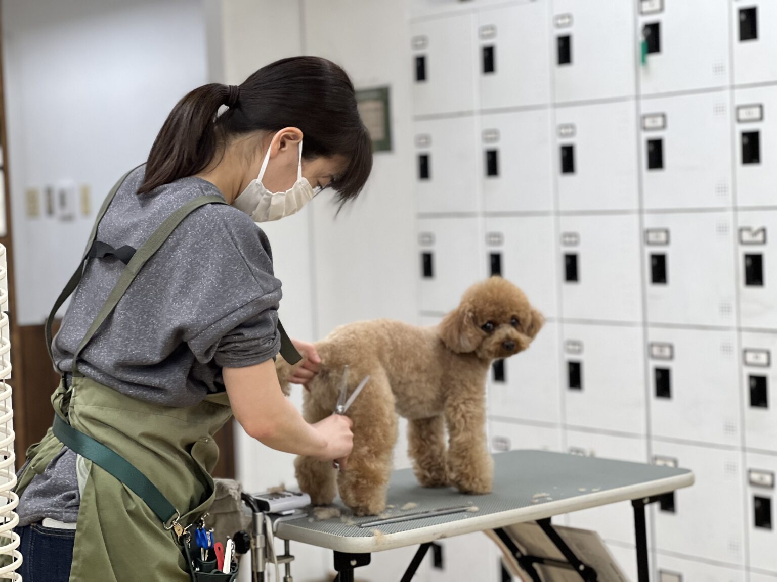 卒業後もBack to Schoolで技術を磨けます！ | KENNEL SCHOOL