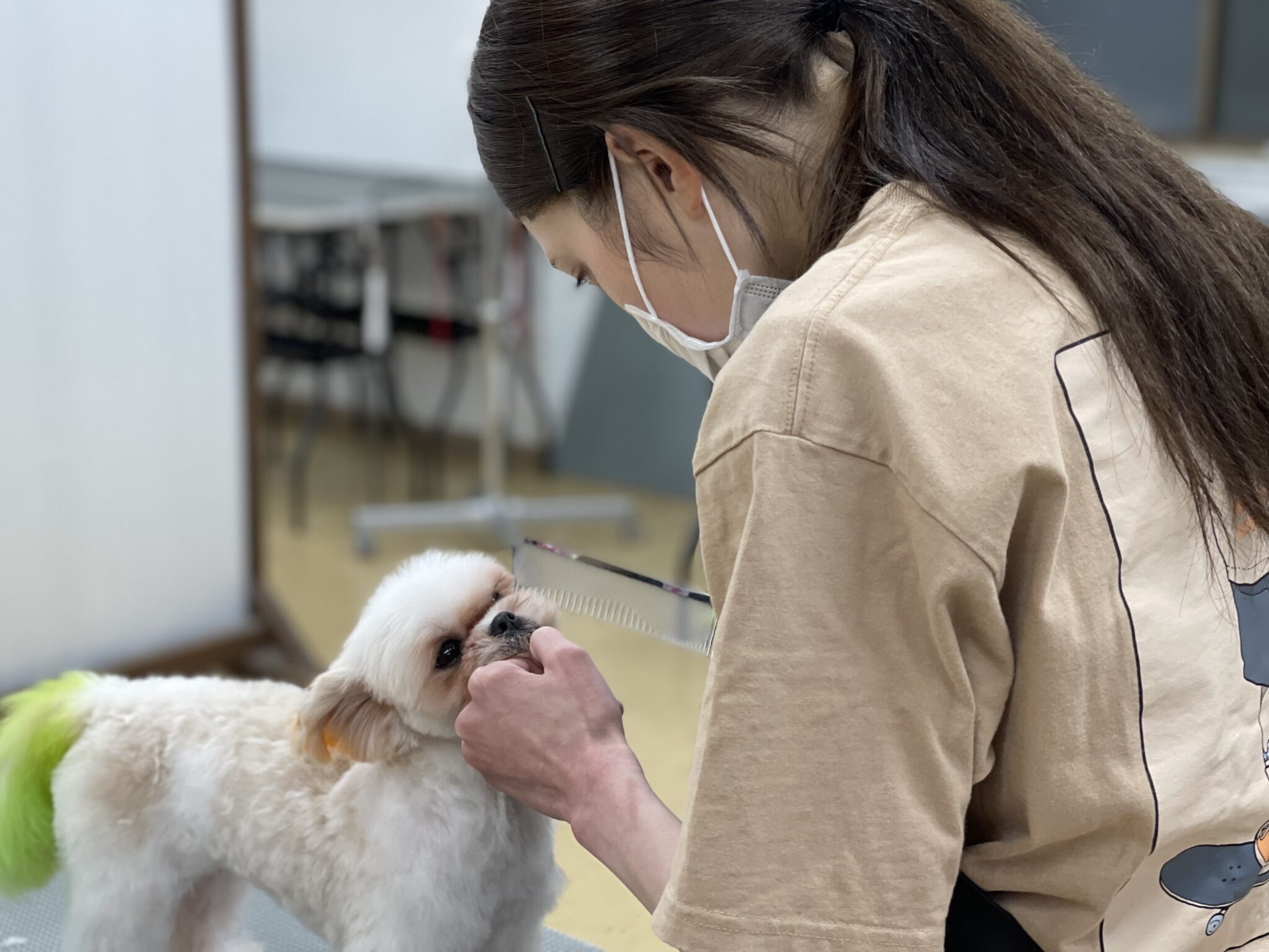 ご入学後の流れ | KENNEL SCHOOL