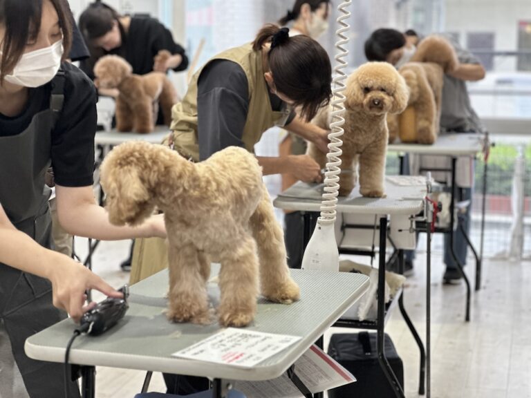 ケンネルスクール卒業生には開業者が多いのはなぜか？ | KENNEL SCHOOL